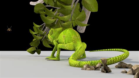 Cameleon One 3D Model By Renatodalle