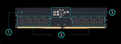 Aorus Memory Ddr5 32gb 2x16gb 5200mhz｜aorus Gigabyte Global