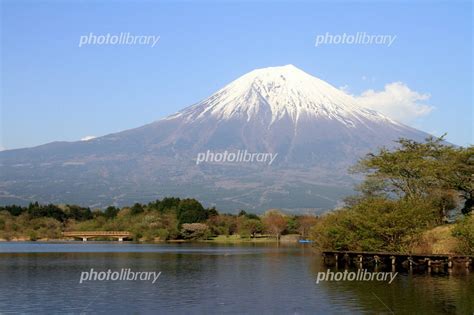 Photolibrary