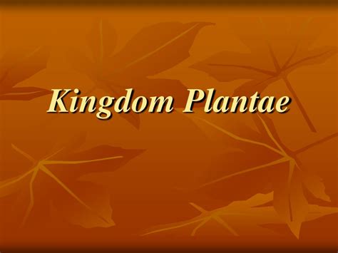 Ppt Kingdom Plantae Powerpoint Presentation Free Download Id1830007