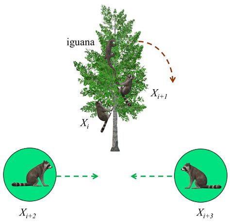 Cmrlccoa Multi Strategy Enhanced Coati Optimization Algorithm For