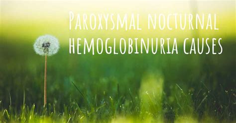 Which Are The Causes Of Paroxysmal Nocturnal Hemoglobinuria