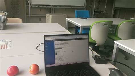 Overfitting Object Detection Dataset By Summertraining