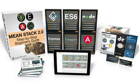 Transform Into A Full Stack Developer Using The Means Stack