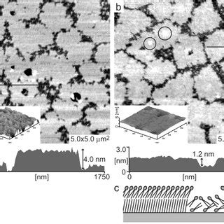 AFM images 5 0 5 0 µm 2 and line profiles of the OTS modified SiO2 Download Scientific