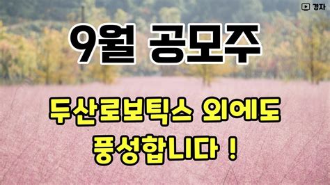 9월 공모주 11종목 미리보기 ㅣ 두산로보틱스 외에도 풍성합니다 Youtube