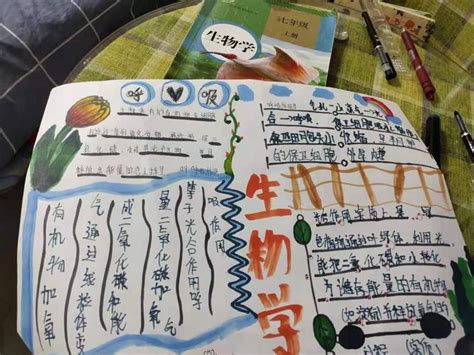 生物初二第六章手抄报 初二手抄报 蒲城教育文学网