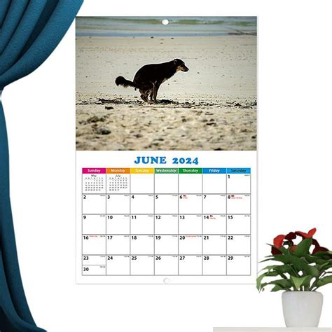 Dogs Pooping Calendar 2024 Monthly Funny Hangable Calendar Dogs Pooping