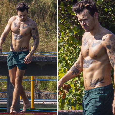 Harry Styles Shirtless Tattoos