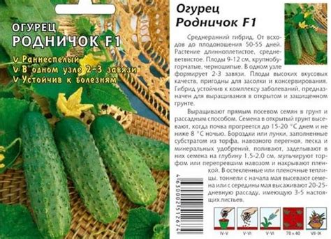 Огурцы Либелла: описание сорта и характеристики, выращивание и уход ...