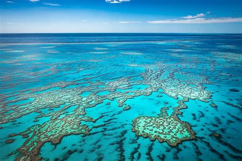 How Many Types Of Coral Reefs Are There Worldatlas