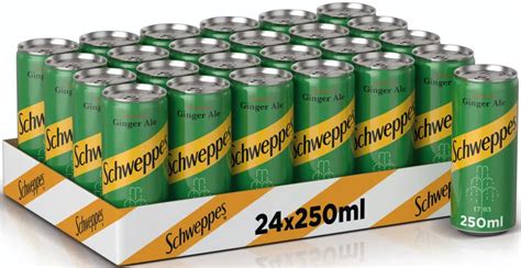 Scheweppes Ginger Ale 250ml Pack Of 24pieces