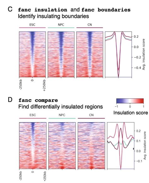 Tad Boundary Issue Vaquerizaslab Fanc Github