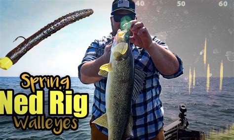 Ice Fishing For Burbot Best Spots Gear And Techniques Target Walleye