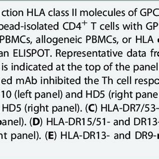 See Previous Page Exact Identification Of Restriction HLA Class II Download Scientific