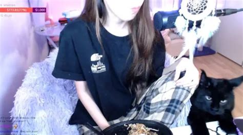 Známá streamerka se totálně ztrapnila Co sprostého odhalila kočka v jejím internetovém