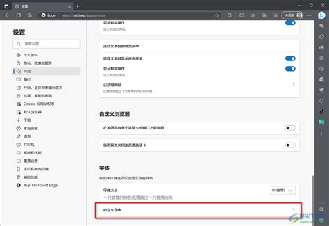 Edge浏览器怎么修改字体大小 edge浏览器设置字体大小的方法 极光下载站