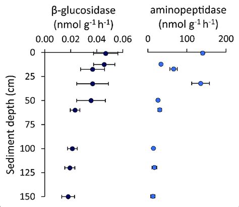 β Glucosidase And Aminopeptidase Enzymatic Activities Reported Are