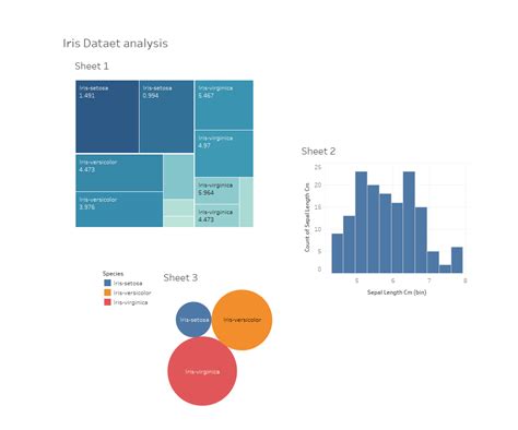 Tableau Dashboard Types Examples How To Create