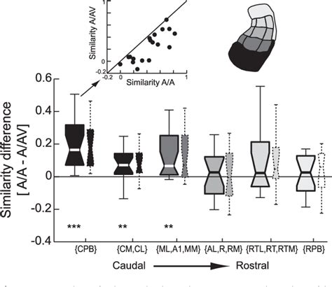 Figure 5 From Behavioralsystemscognitive Functional Imaging Reveals