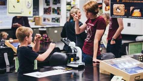 Research Extension And Outreach Entomology Cals