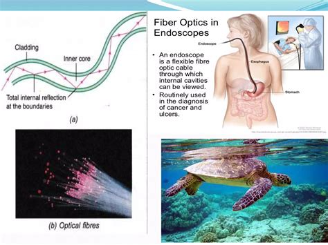 Reflection And Refraction Pptx