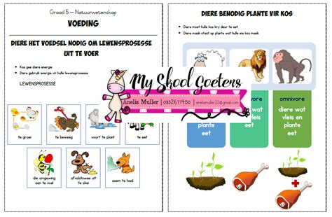 Natuurwetenskap Graad 5 Opsommings Pakket • Teacha