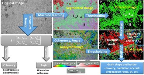 the image analysis protocol with structure tensor estimation for