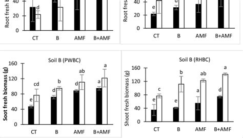 Influence Of Biochar And Microbial Inoculants On Root And Shoot Fresh