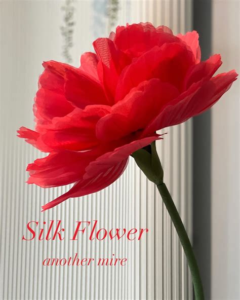 어나더마인🌿 자이언트플라워 페이퍼플라워 실크플라워 실크플라워 양귀비 포토존 클래스🌸 매주 오프라인 수강생님도 저의 작업실을 찾아주고 계세요🤗 이번에 오신