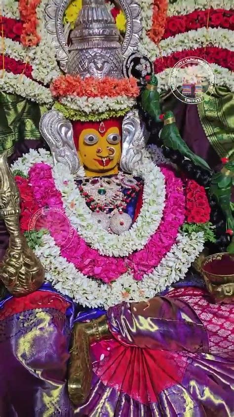 Tirupati🙏 Gangamma 5th Day Dora Vesham 💝 Youtube