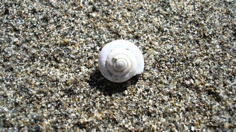 Mузыка для души Спокойная музыка Relaxing Music Youtube