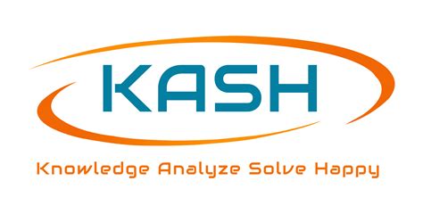 kashtech and denodo roi and economic value of data virtualization us