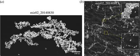 Multi Scale Satellite Observations Of Arctic Sea Ice New Insight Into