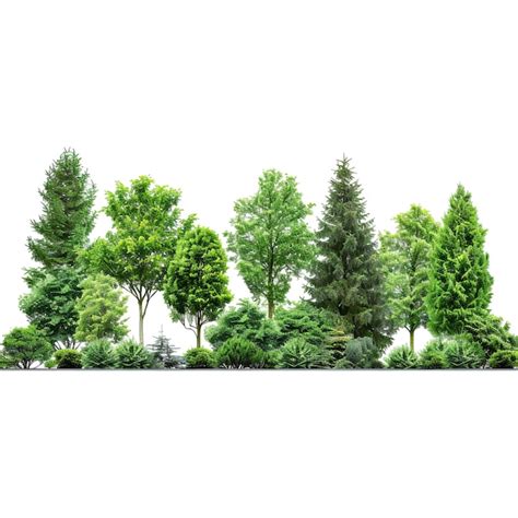 Premium Psd Cutout Tree Line Forestscape