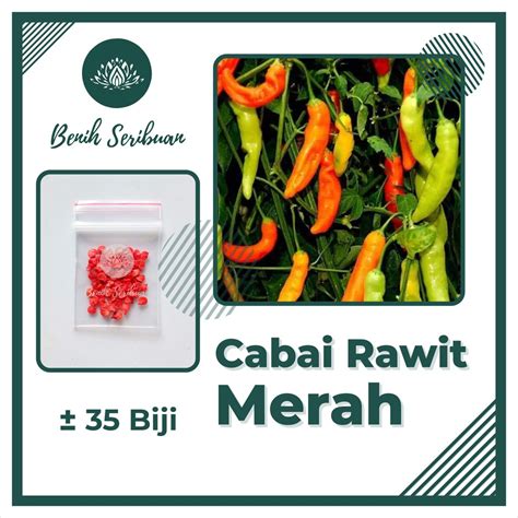 Jual 35 Biji Benih Cabe Rawit Setan Cabai Merah Sigantung Bibit Sayuran Unggul Tanaman Sayur