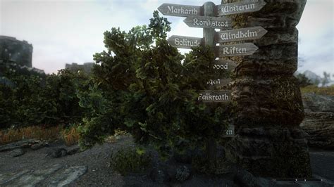 Solved Which Mod Adds These Bushes Trees Skyrim Technical