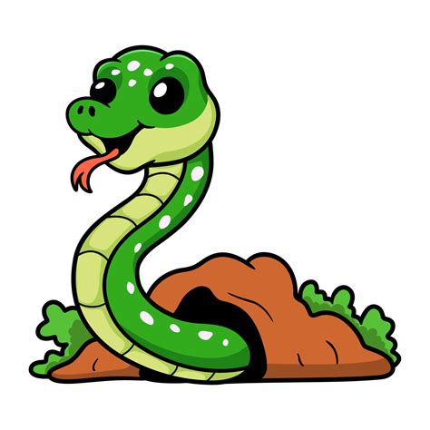 Cute Green Tree Python Cartoon Out From Hole 17206199 Vector Art At Vecteezy