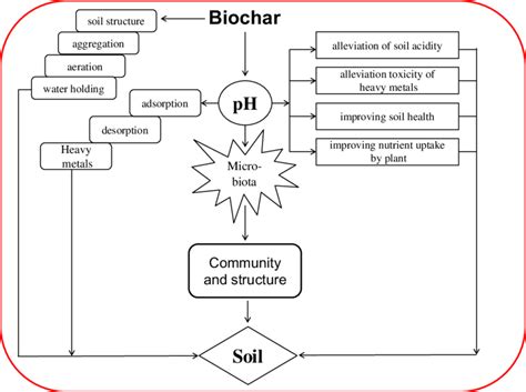 1 A schematic diagram of biochar effects on soil properties. | Download Scientific Diagram