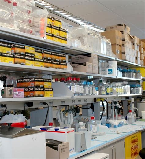 Excel Tutors A Level And Gcse Practical Exams Excel Tutors