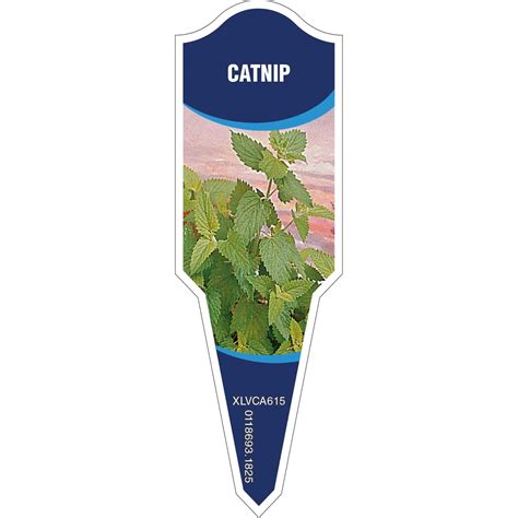 Catnip Egmont Commercial