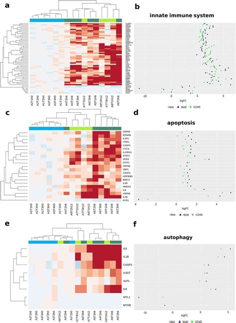 Heatmap And Dotplot For The Innate Immune System Ab Apoptosis