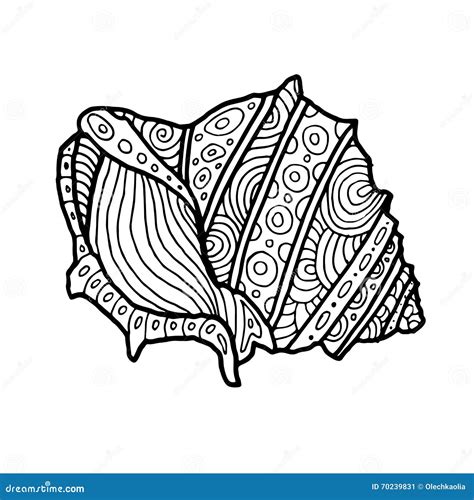 装饰zentangle海壳例证 外形图 成人和孩子的彩图 着色页 向量 向量例证 插画 包括有 放松 例证 70239831