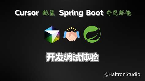 2025年最新 Cursor 配置 Spring Boot 开发环境 实际上手体验分享 Vscode 通用(cc字幕 2025年最新 Cursor 配置 Spring Boot 开发环境 实际上手体验分享 Vscode 通用(cc字幕
