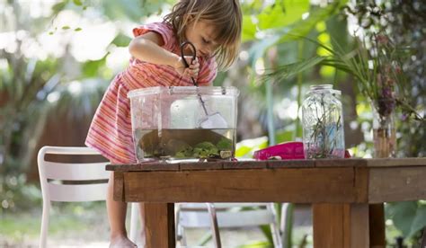 Do Garden Ponds Overflow When It Rains Crate And Basket