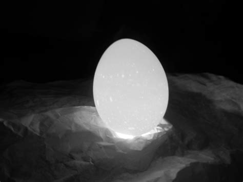 Eggs Norma Daniela