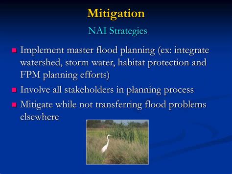 Ppt Comprehensive Floodplain Management Promoting Wise Uses Of