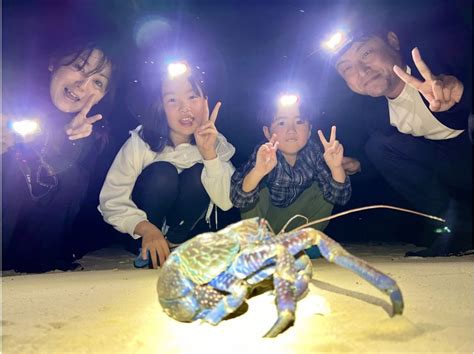 【이시가키 섬 나이트 정글 대 모험】 비에서도 Ok 야자게 찾기 And 만천의 밤하늘 관찰 ★ 수장 새우를 그 자리에서 먹자