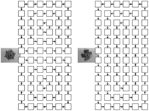 Distinction Between Radial Flow Pattern Left Induced By Rushton