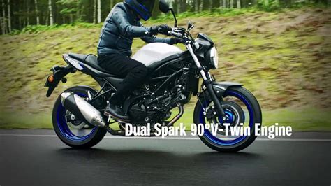Manchuria Retirado Sucio Consumo Suzuki Sv 650 Preservativo Infrarrojo